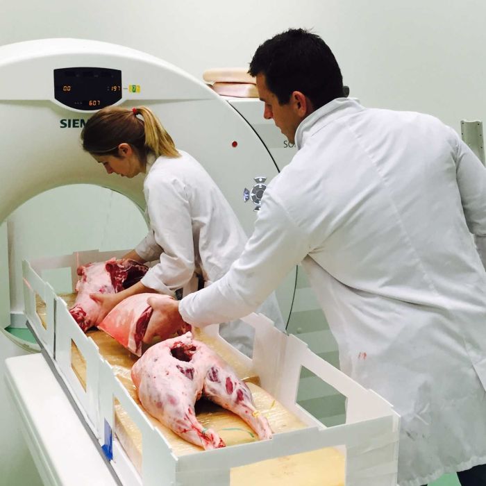University Meat | New Technology to Revolutionise the Meat Industry